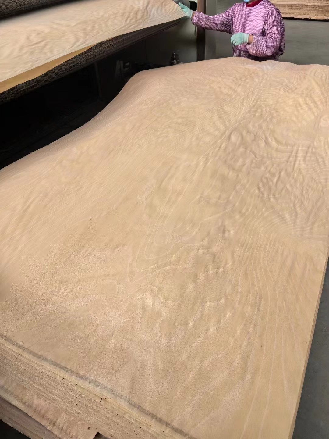 Natural Rotary Cut European Pink Beech Veneer Sheet For Plywood